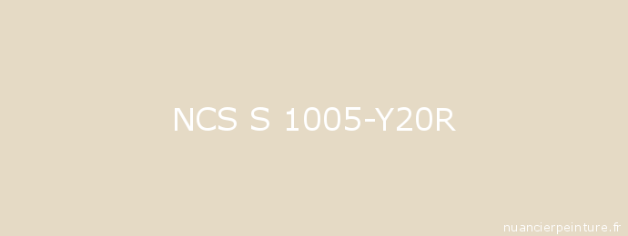 S 1005-Y20R : NCS color S 1005-Y20R | PaintColourChart.com S 1005-Y20R : NCS color S 1005-Y20R | PaintColourChart.com