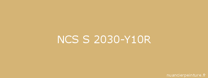 S 2030-Y10R : NCS color S 2030-Y10R | PaintColourChart.com