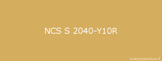 S 2040-Y10R : NCS color S 2040-Y10R | PaintColourChart.com