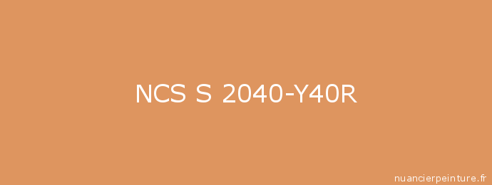 S 2040-Y40R : NCS color S 2040-Y40R | PaintColourChart.com