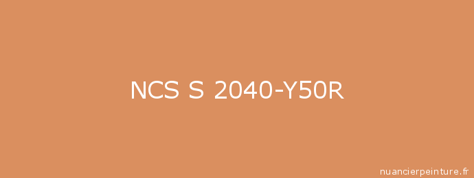 S 2040-Y50R : NCS color S 2040-Y50R | PaintColourChart.com