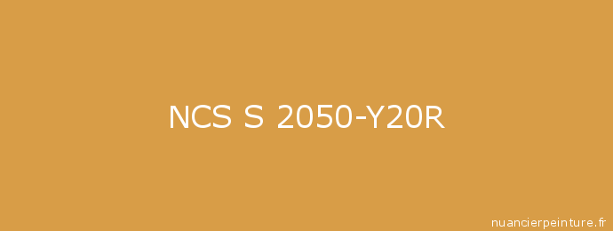 S 2050-Y20R : NCS color S 2050-Y20R | PaintColourChart.com