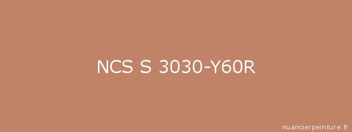 S 3030-Y60R : NCS color S 3030-Y60R | PaintColourChart.com